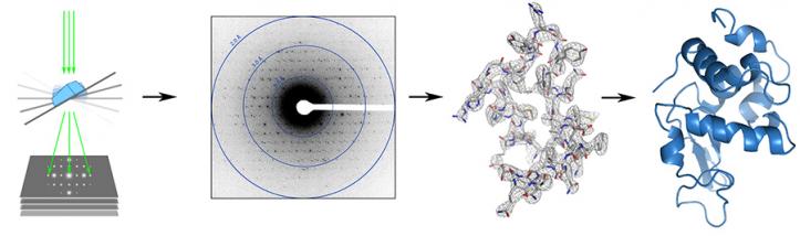 Micro ED Method development in cryo EM | Janelia Research Campus